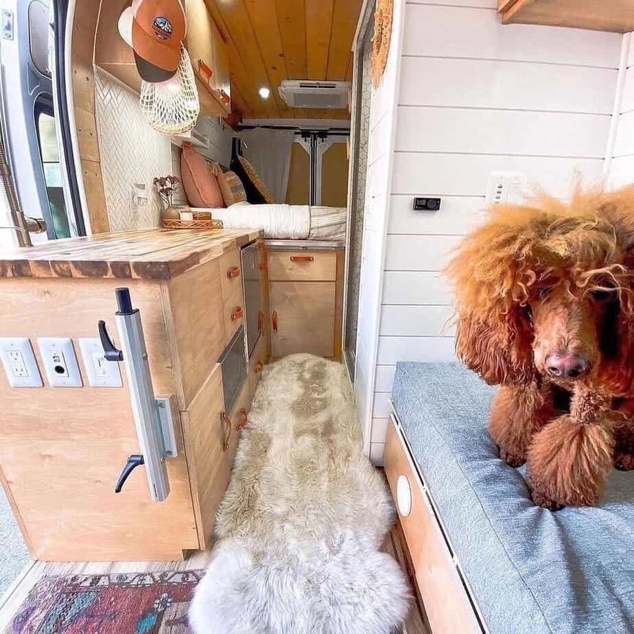 10+ Best ProMaster Van Conversions to Inspire Your Build & Adventure ...