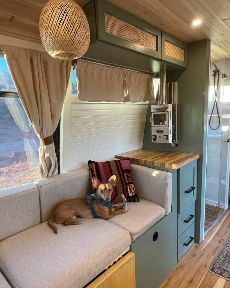 10+ Ingenious Shuttle Bus Conversions (+Important Certification ...